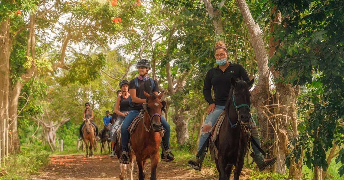 Carabalí Rainforest Park: Rainforest Horseback Riding Tour | GetYourGuide