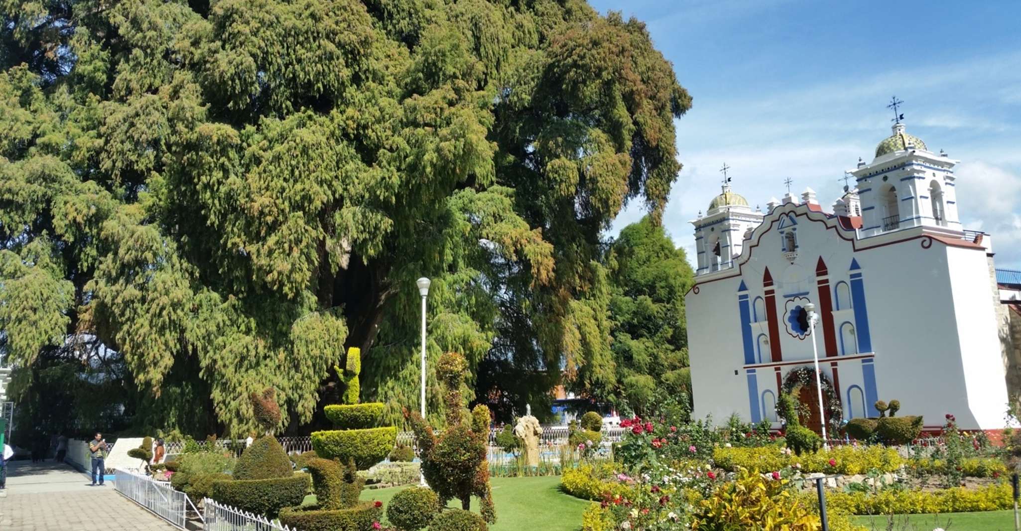 Excursión a Oaxaca, El Tule, Mitla y Hierve el Agua con Mezcal ...