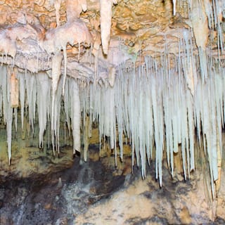 The BEST George Town, Cayman Islands Tours and Things to Do in 2022 ...