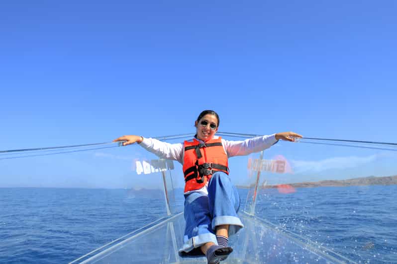 La Paz: Transparent Boat Tour with Mushroom Rock | GetYourGuide