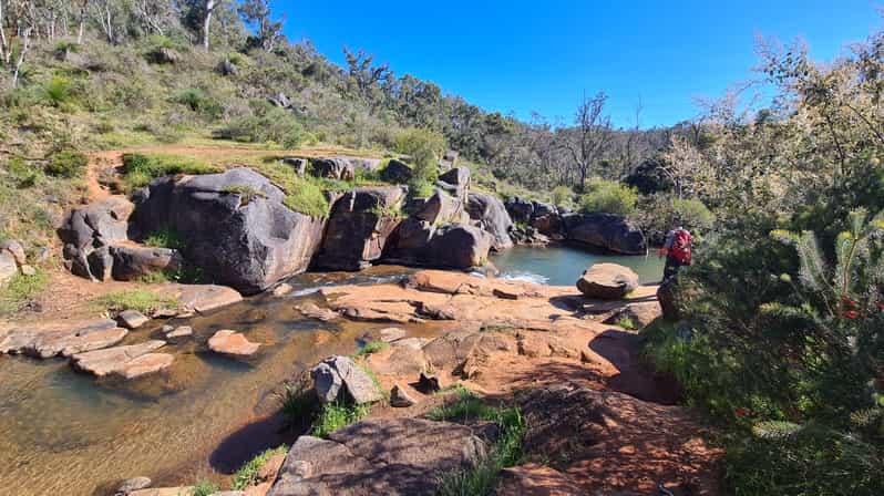 From Perth or Baldivis: Perth Hills Hike, Wine, & Dine Tour | GetYourGuide
