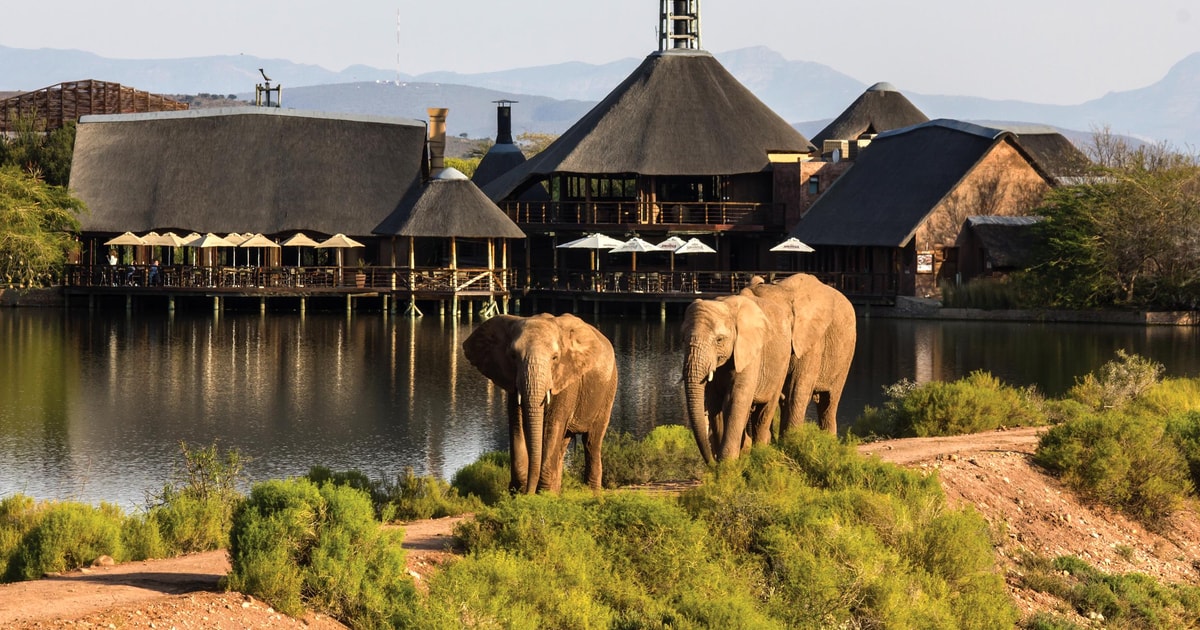 30-Minute Educational Elephant Experience | GetYourGuide