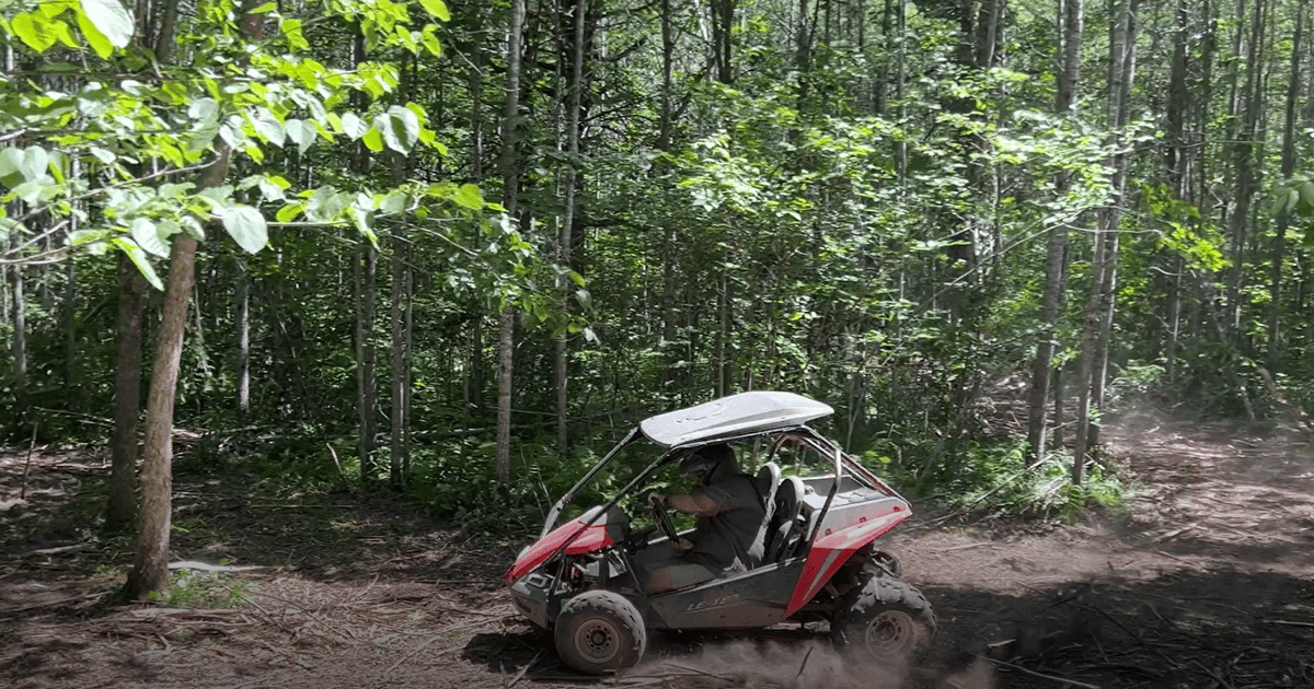 Duluth: Moose Lake Triple Cross Dune Buggy Adventure | GetYourGuide