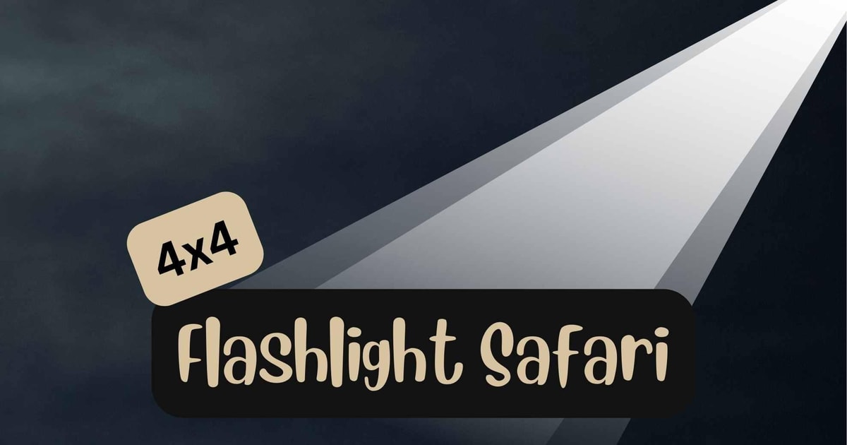 Victoria Falls: Flashlight Safari in 4x4 | GetYourGuide