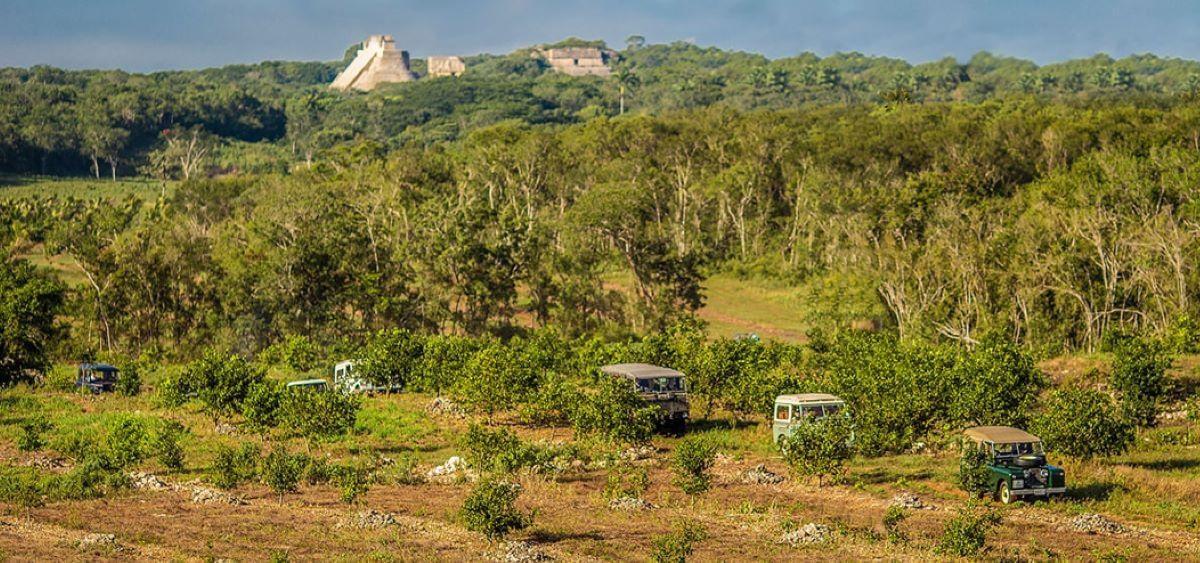 Merida: Plantations of Uxmal Safari Expedition | GetYourGuide