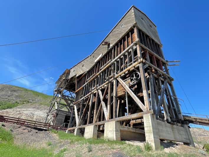 Din Calgary: Tur geologic privat Canadian Badlands | GetYourGuide