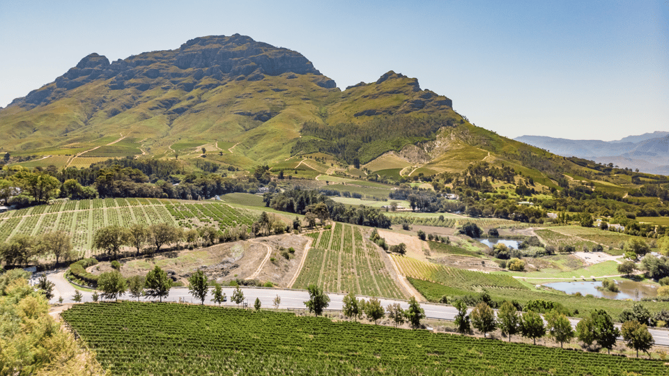Cape Town: 3 Regions Private Cape Winelands Tour | GetYourGuide