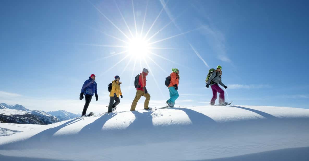 Banff National Park: Sunshine Meadows snesko-oplevelse | GetYourGuide