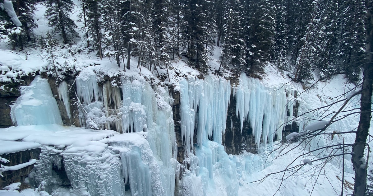 Da Banff: Passeggiata guidata nel canyon di Johnston | GetYourGuide