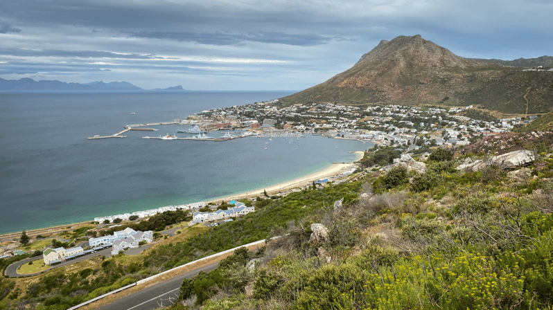 Ciudad del Cabo: Excursión de un día a Cape Point, Pingüinos y Montaña ...