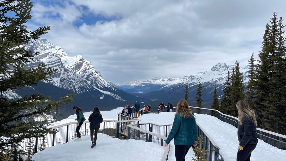 Desde Banff Excursión panorámica por Icefield Parkway con entrada al ...