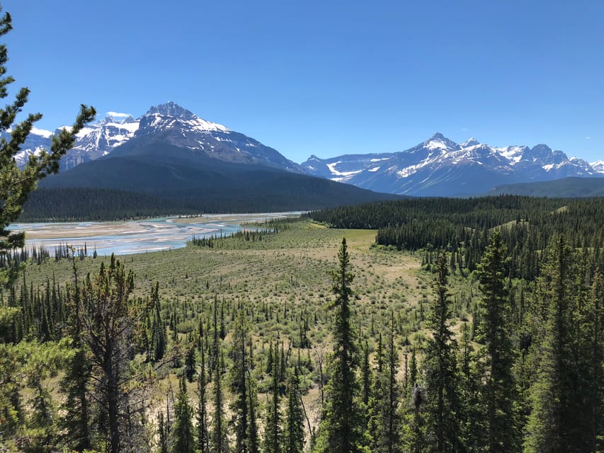 From Banff: Icefield Parkway Scenic Tour with Park Entry | GetYourGuide