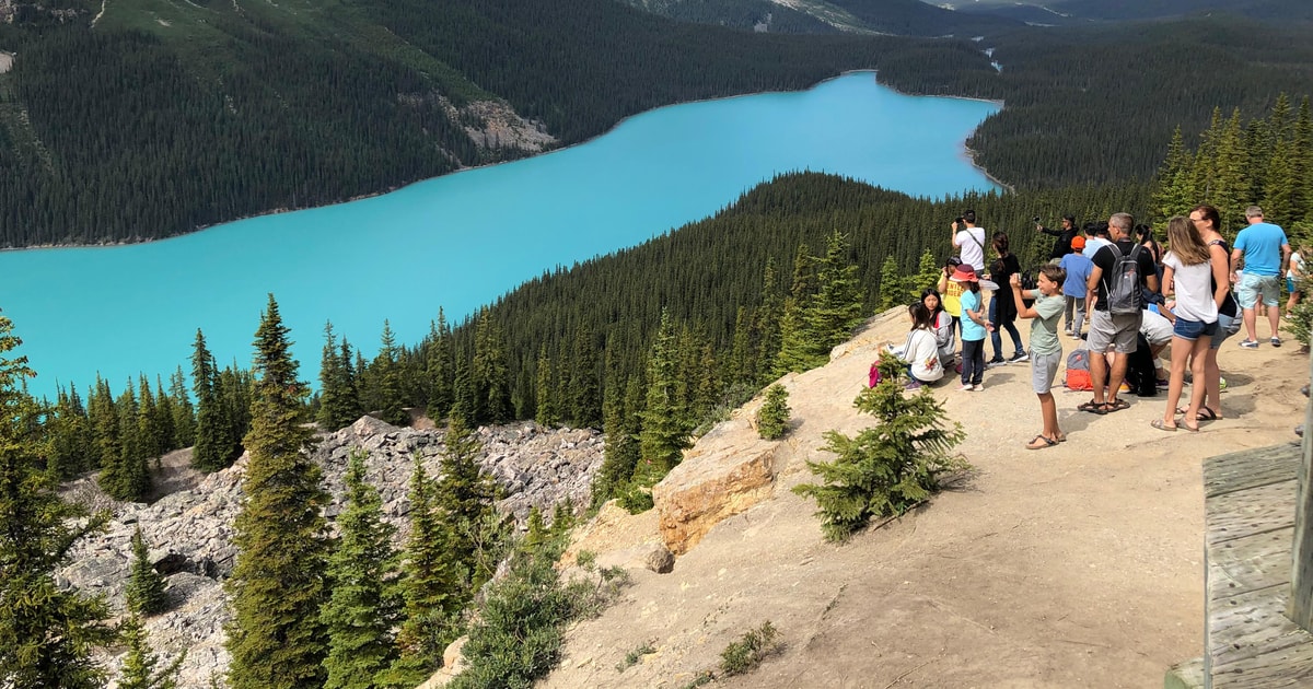 Desde Banff Excursión panorámica por Icefield Parkway con entrada al ...