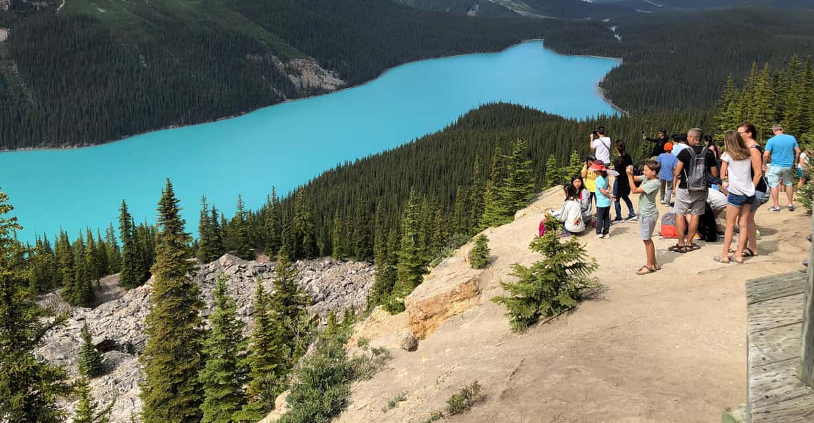 Fra Banff: Icefield Parkway Scenic Tour med adgang til parken ...