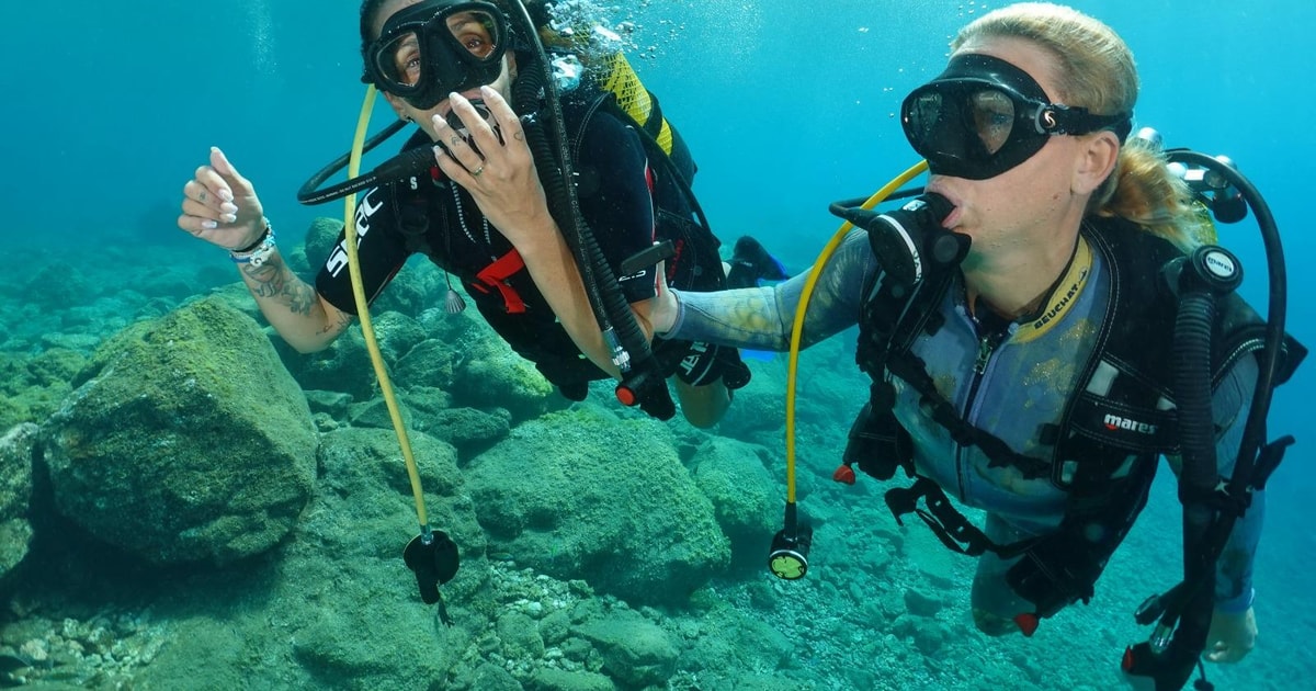 Try diving for the first time in turtle area | GetYourGuide