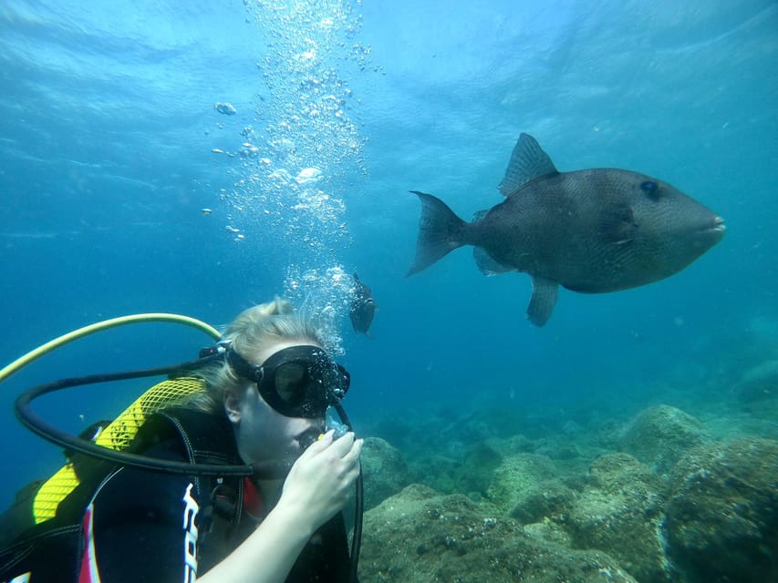 Candelaria : Try diving for the first time | GetYourGuide