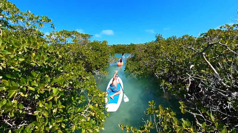 Key West: Sandbar Excursion & Kayak Tour with Lunch & Drinks | GetYourGuide