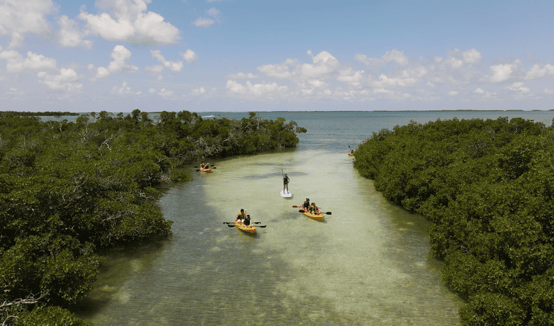 Key West: Sandbar Excursion & Kayak Tour with Lunch & Drinks | GetYourGuide