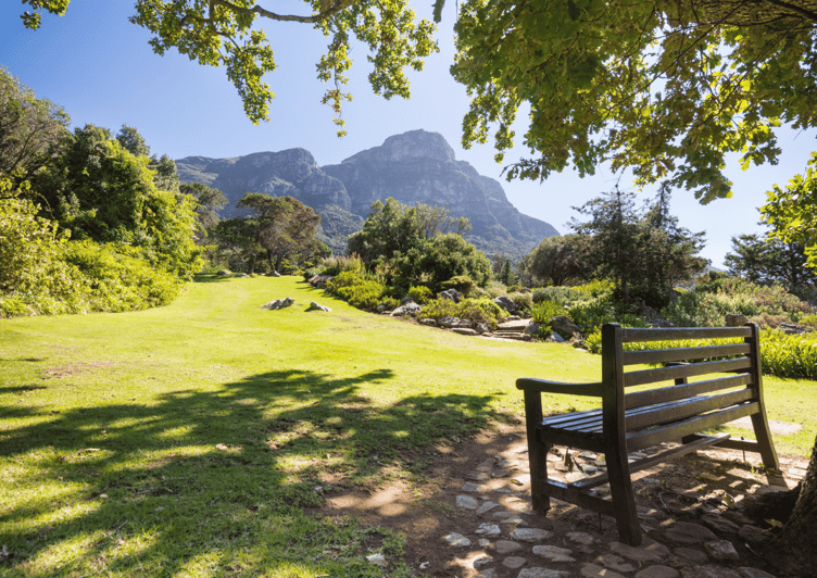 Cape Town: City Sightseeing Private Trip to Table Mountain | GetYourGuide