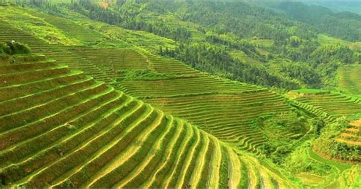 Hanoi: SAPA - CAT CAT - LAO CHAI 2D1N | GetYourGuide