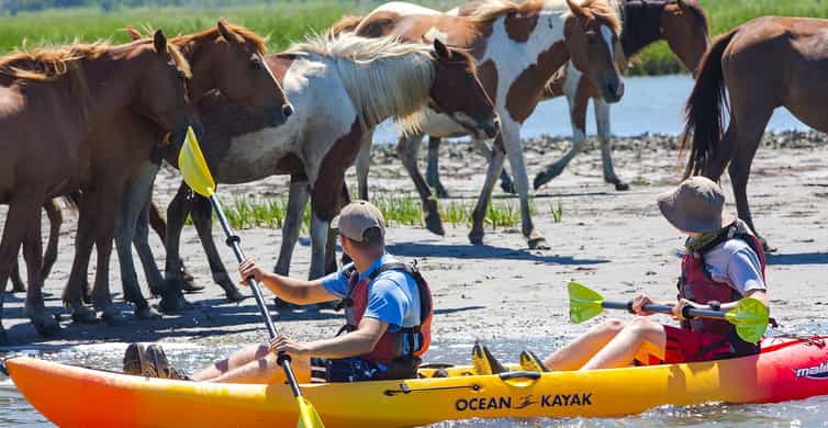 Chincoteague Island, Accomack County, Virginia - Book Tickets & Tours ...
