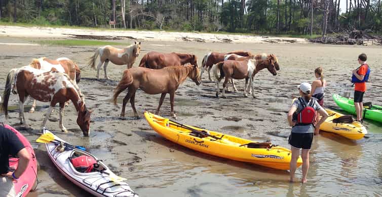 From Chincoteague: Guided Kayak Tour to Assateague Island | GetYourGuide