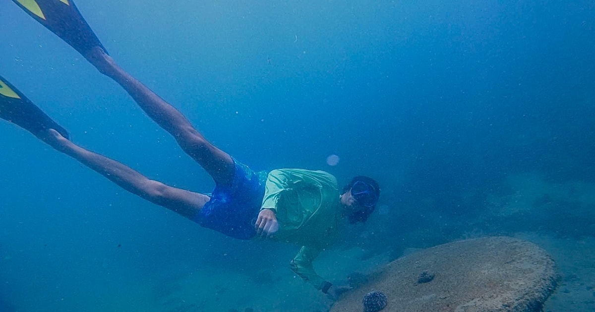 San Juan: small group guided snorkeling excursion | GetYourGuide