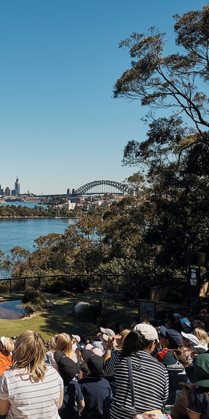 Sydney: Taronga Zoo Ticket with Return Ferry | GetYourGuide