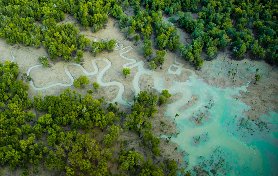 Broome: Mud Crabbing Boat Tour with Lunch and Transfers | GetYourGuide