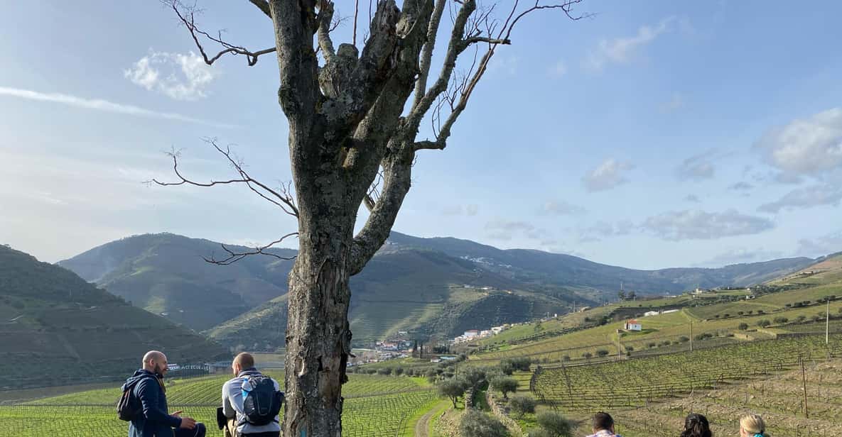 Douro ieleja: 10 km pārgājiens pa ieleju | GetYourGuide
