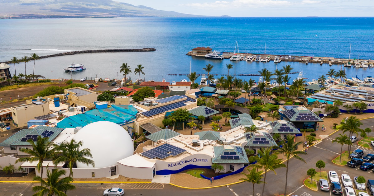 Maui Ocean Center All-Day Entrance Ticket | GetYourGuide