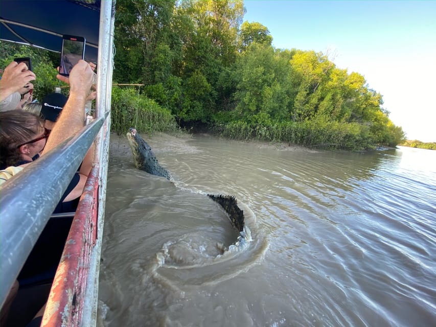 Darwin: The Croc Bus to the Famous Jumping Crocodile Cruise | GetYourGuide