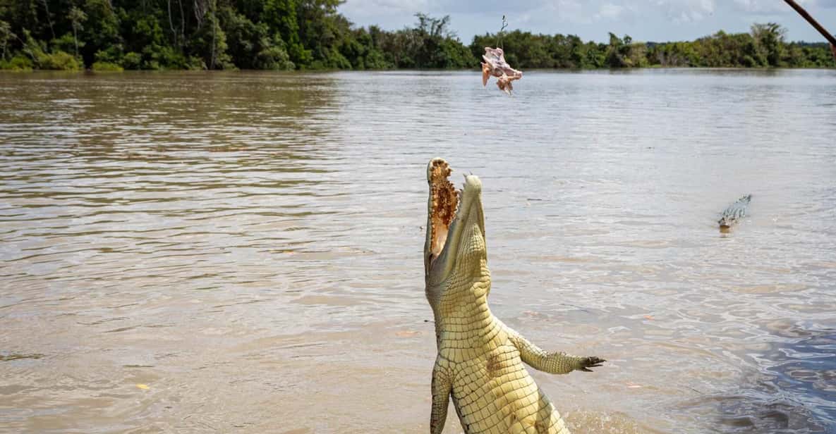 Darwin: Fogg Dam Reserve Crocodile Encounters Trip & Cruise | GetYourGuide