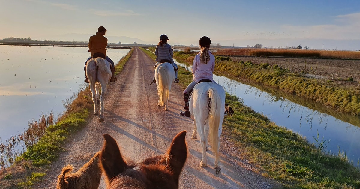 Ebro Delta Nationalpark: Guidet tur på hesteryg | GetYourGuide