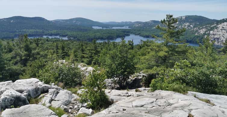 The BEST Toronto National parks 2023 - FREE Cancellation | GetYourGuide