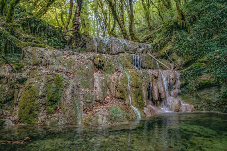 Zitsa: Bread Baking Class And Wine Tasting Tour | GetYourGuide