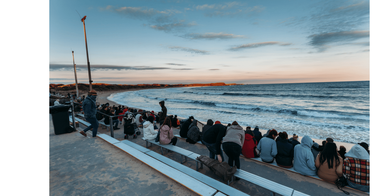 From Melbourne: Phillip Island Penguin Parade Full-Day Tour | GetYourGuide