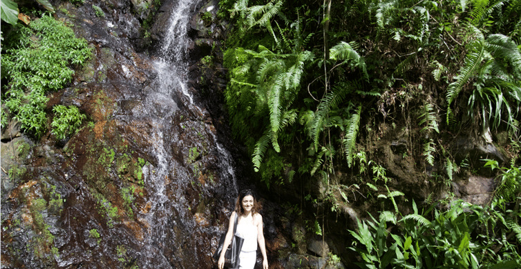 From San Juan: VIP Early Access El Yunque Adventure tour | GetYourGuide