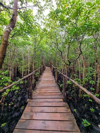 Zanzibar: Jozani Forest National Park Guided Tour | GetYourGuide