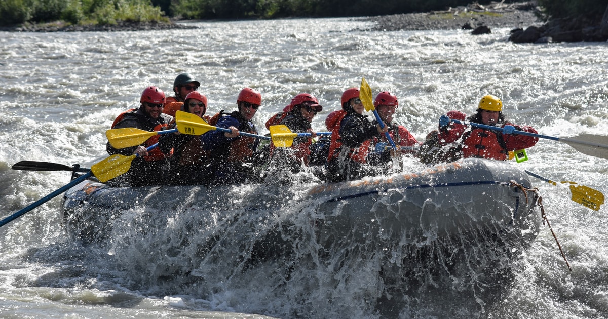Denali Alaska: Class IV Canyon Whitewater Rafting paddle | GetYourGuide