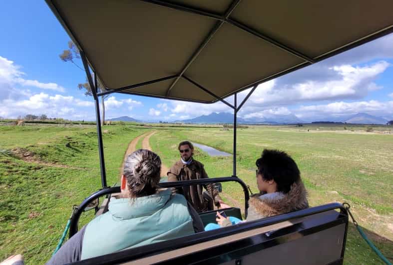 Cape Town: Winelands Tour with 4x4 Safari & Wine Tasting | GetYourGuide