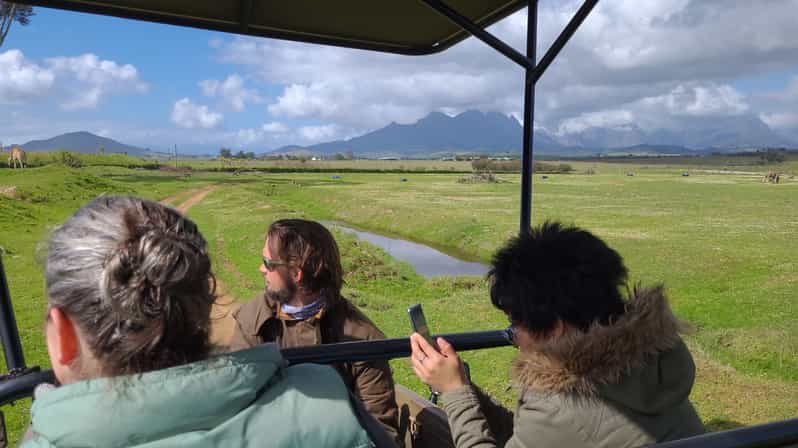 Cape Town: Winelands Tour with 4x4 Safari & Wine Tasting | GetYourGuide