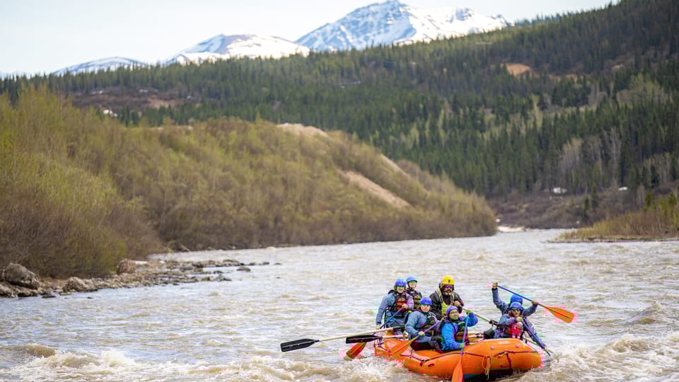 Denali, Alaska: Canyon Wave Raft Class III-IV Paddle/Oar | GetYourGuide