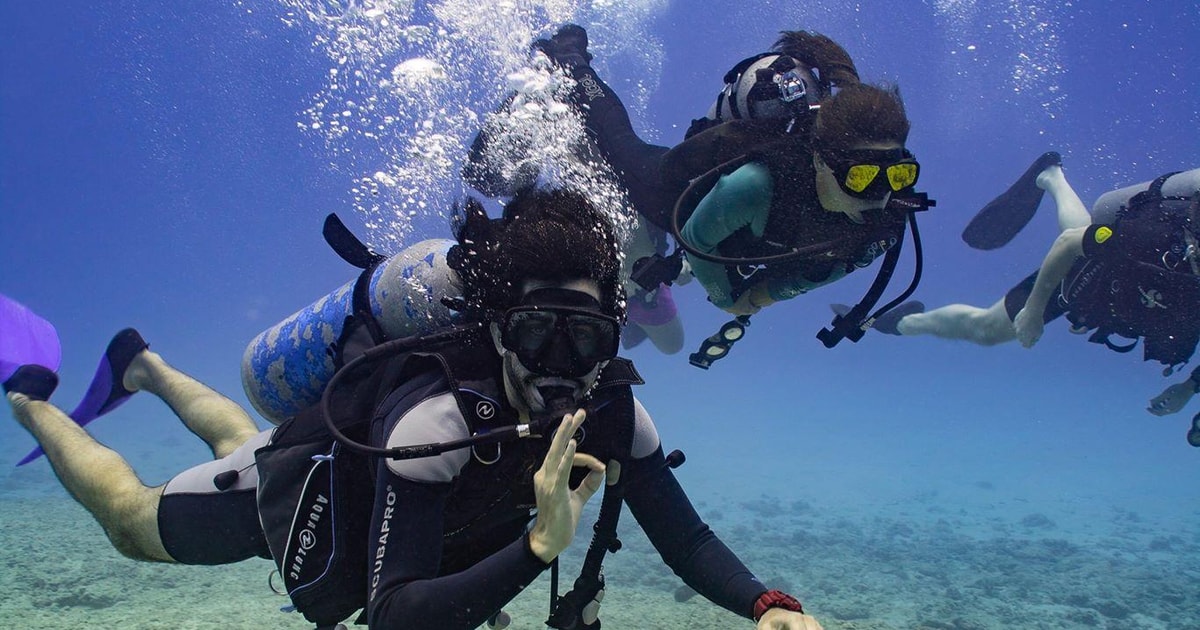 Honolulu: Discover Scuba Diving Experience | GetYourGuide