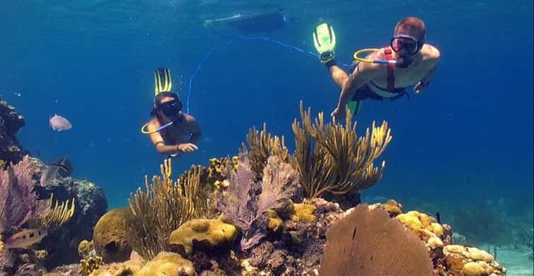 St. Thomas: Coral World Park SNUBA Trip with Certified Guide | GetYourGuide