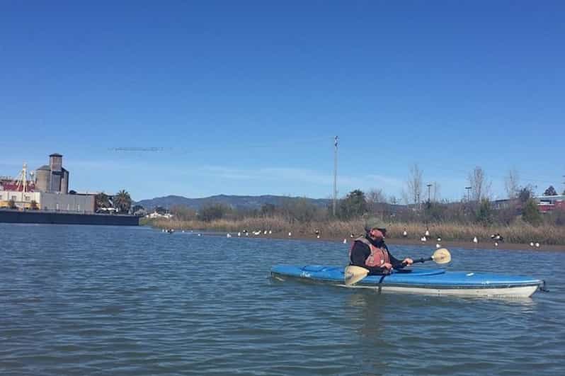Napa Valley: Napa River Kayak Rental | GetYourGuide