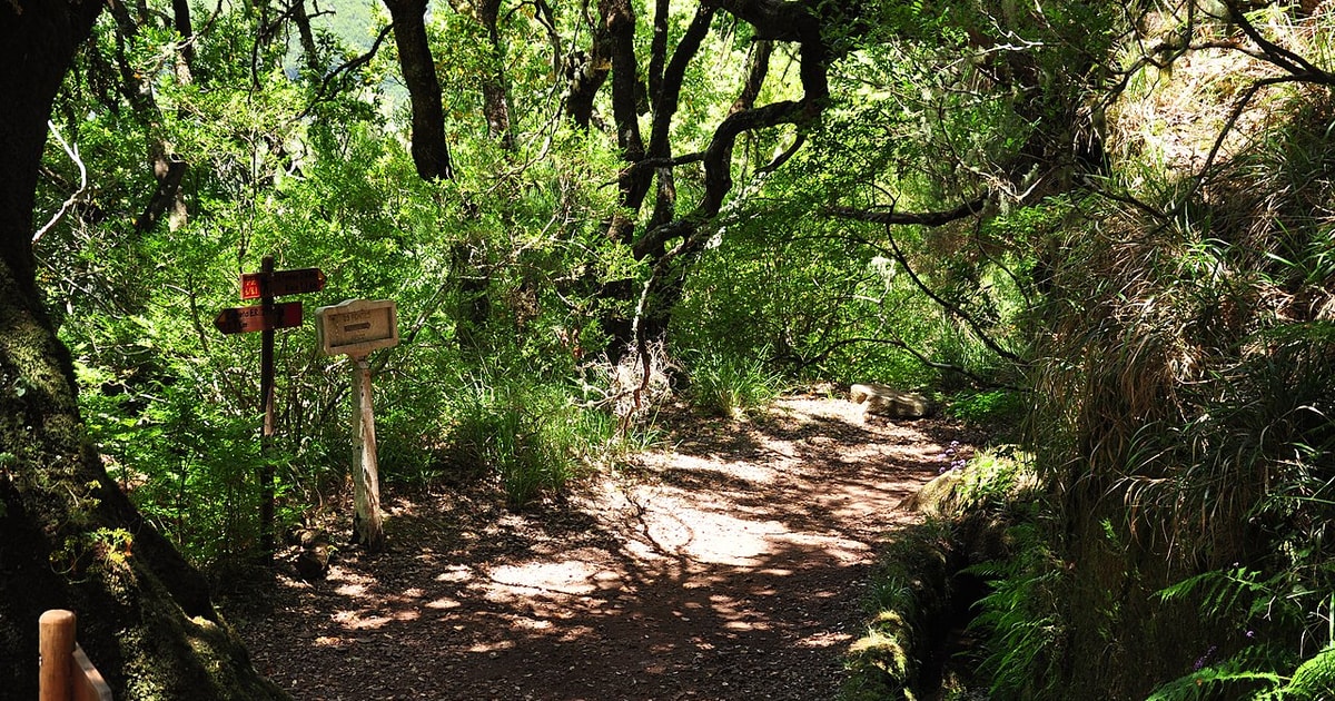 Madeira: Private Levada do Risco Hiking Tour with Transfer | GetYourGuide