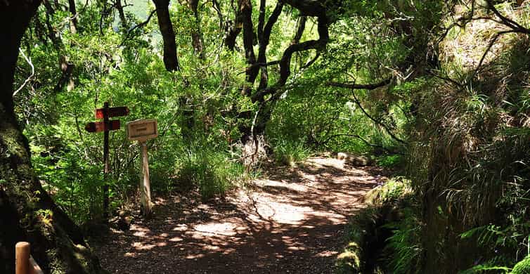 Madeira: Private Levada do Risco Hiking Tour with Transfer | GetYourGuide