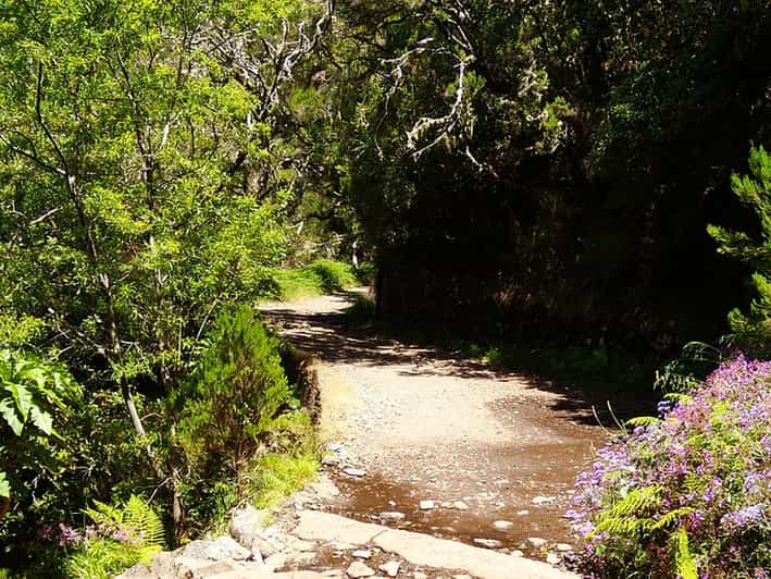 Madeira: Private Levada do Risco Hiking Tour with Transfer | GetYourGuide