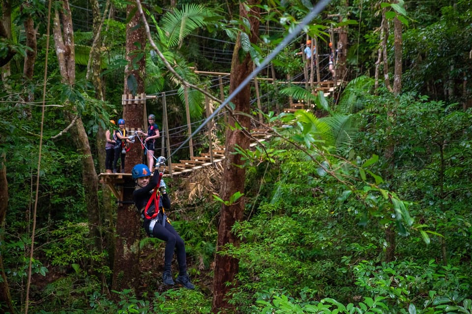 Cairns Excursión en tirolina por la selva tropical de Daintree ...